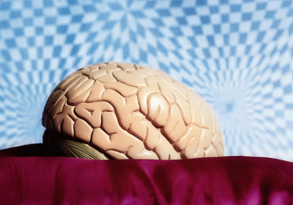 The Neuroscience Behind Psychedelic Therapy: How It Affects the Brain ...